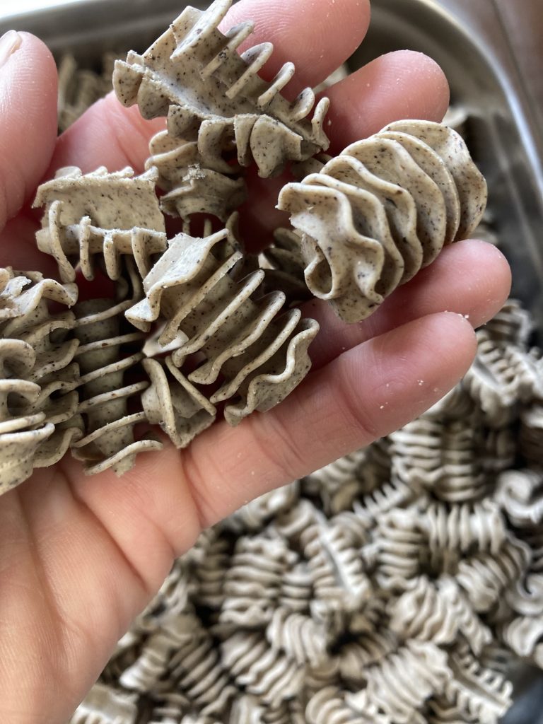 La naissance des sarracini ! - Gourmande et saine... c'est Sarra'Zen